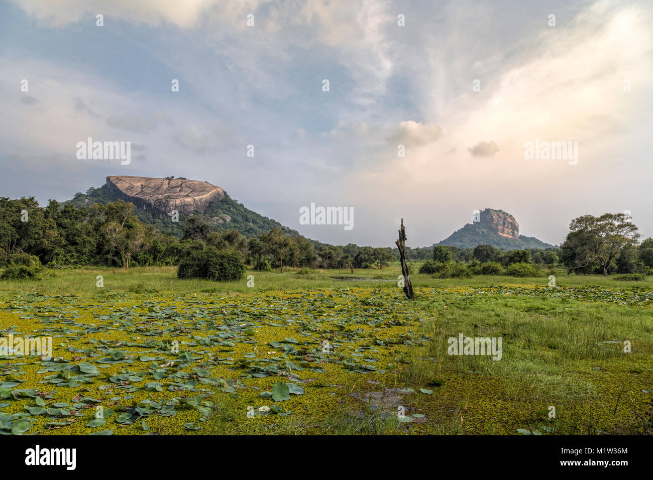 Sigiriya, Matale, Central Province, Sri Lanka, Asia Stock Photo - Alamy
