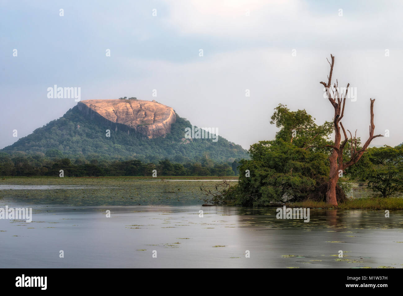 Sigiriya, Matale, Central Province, Sri Lanka, Asia Stock Photo - Alamy