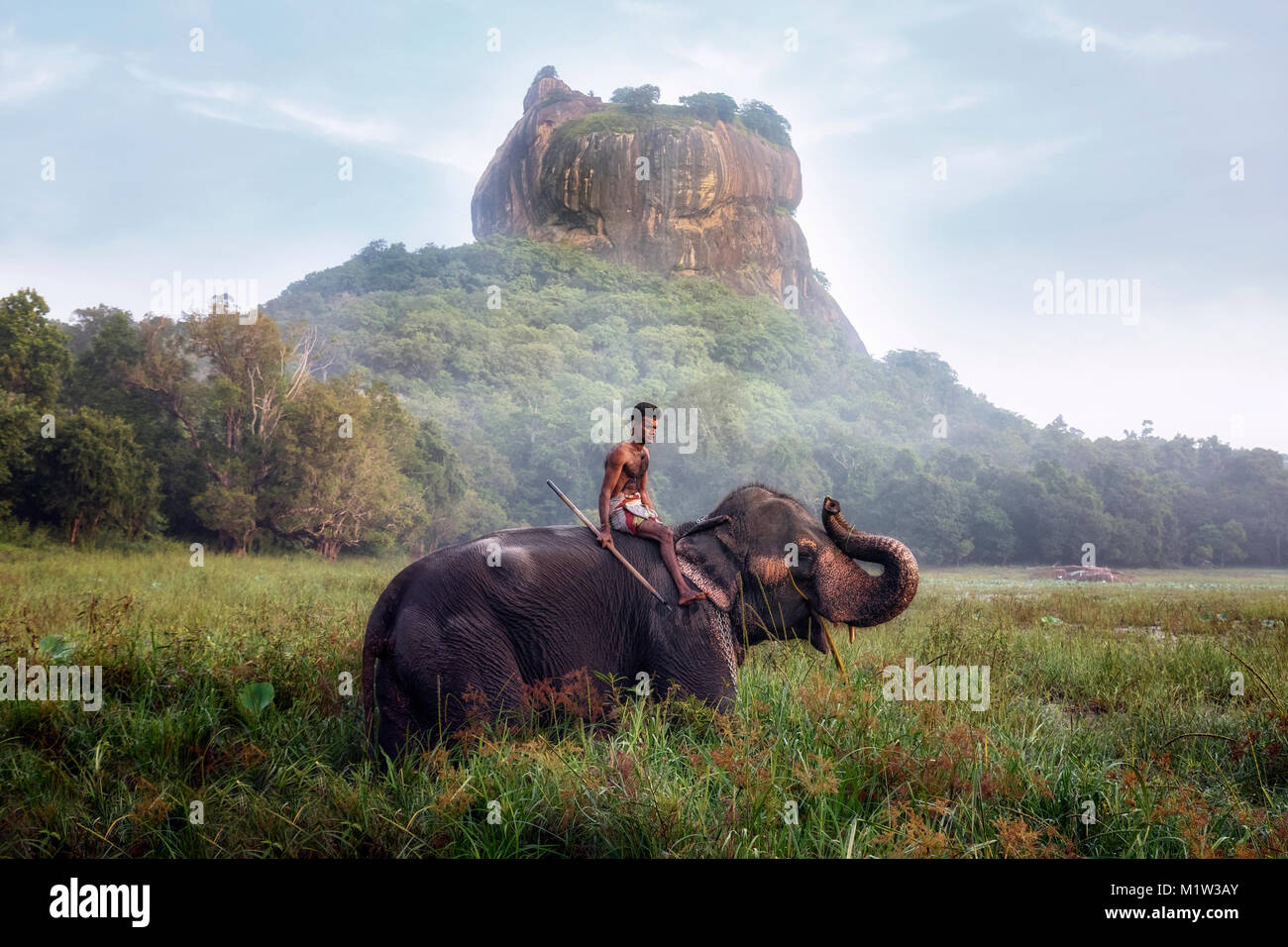 a Mahut with his elephant at Sigiriya, Matale, Central Province, Sri ...