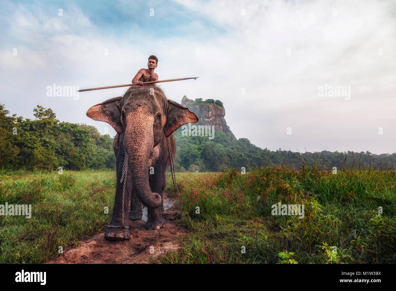 a Mahut with his elephant at Sigiriya, Matale, Central Province, Sri ...