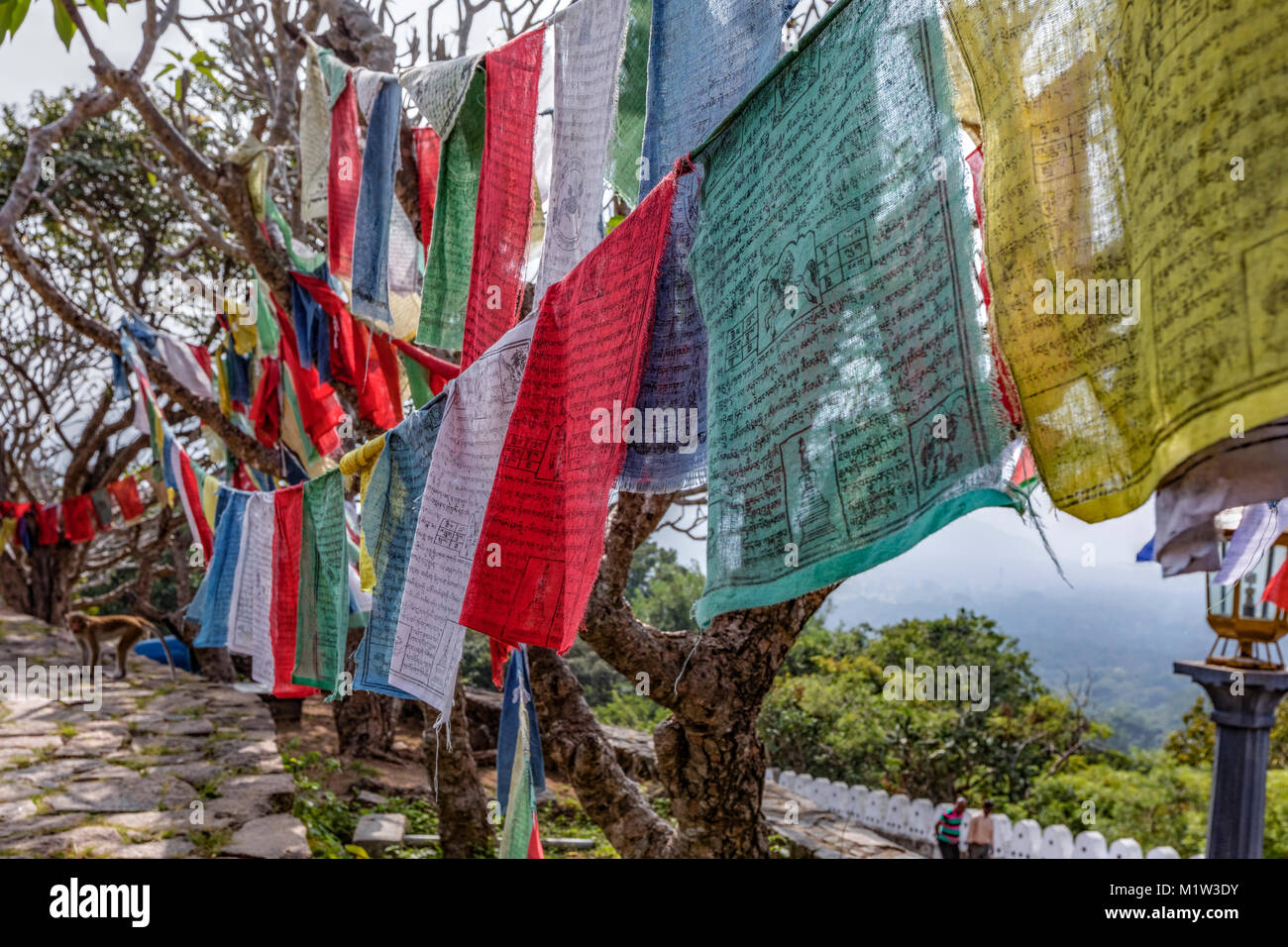 Dambulla cave temple, Matale, Central Province, Sri Lanka, Asia Stock ...