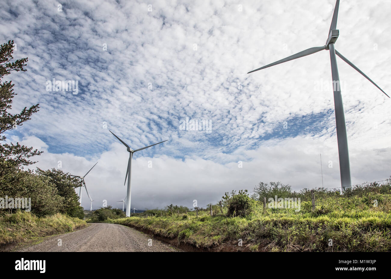 A Windfarm in The Rincon National Park Costa Rica Central America Stock ...