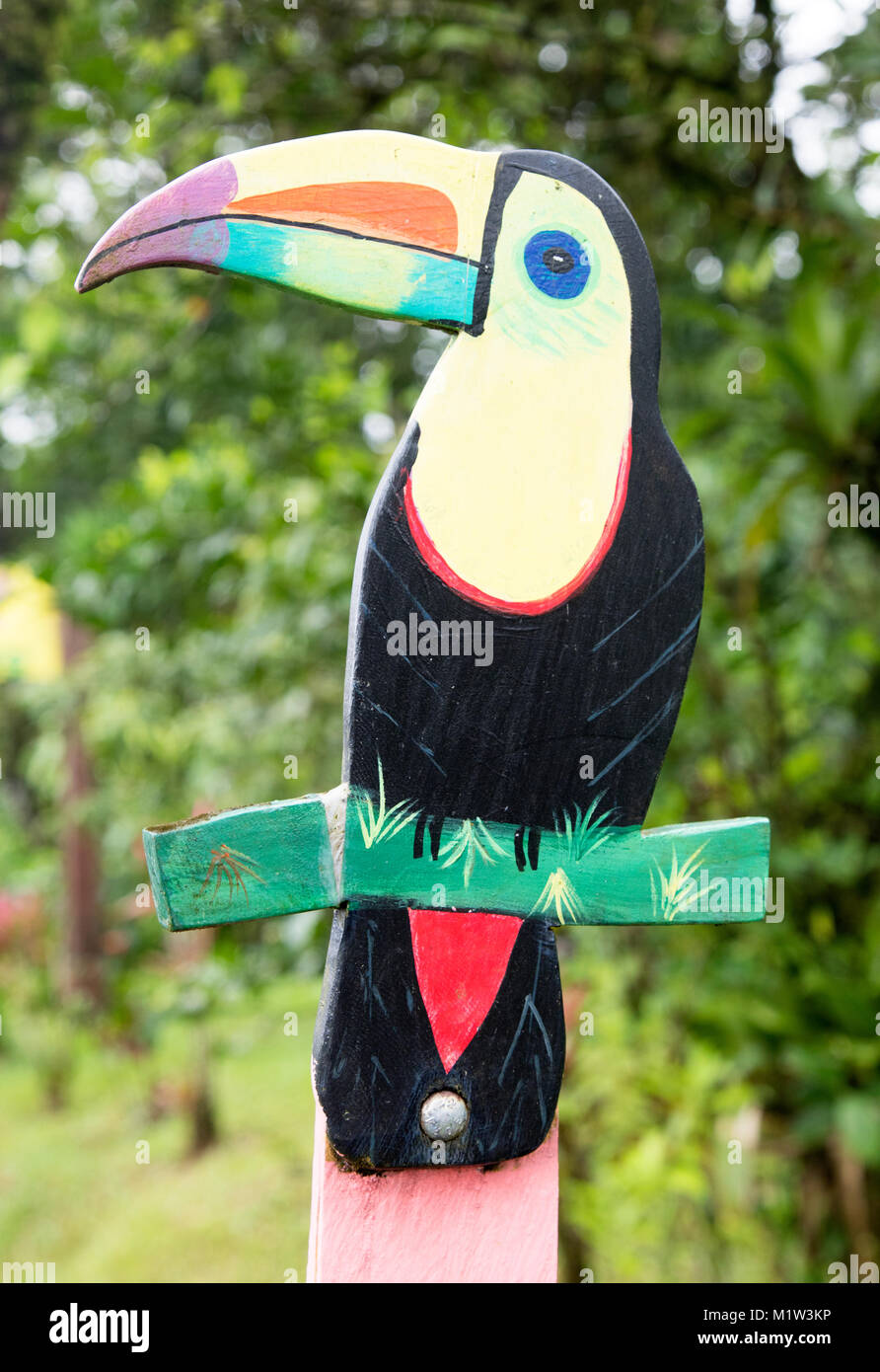 Keelbilled toukan hi-res stock photography and images - Alamy