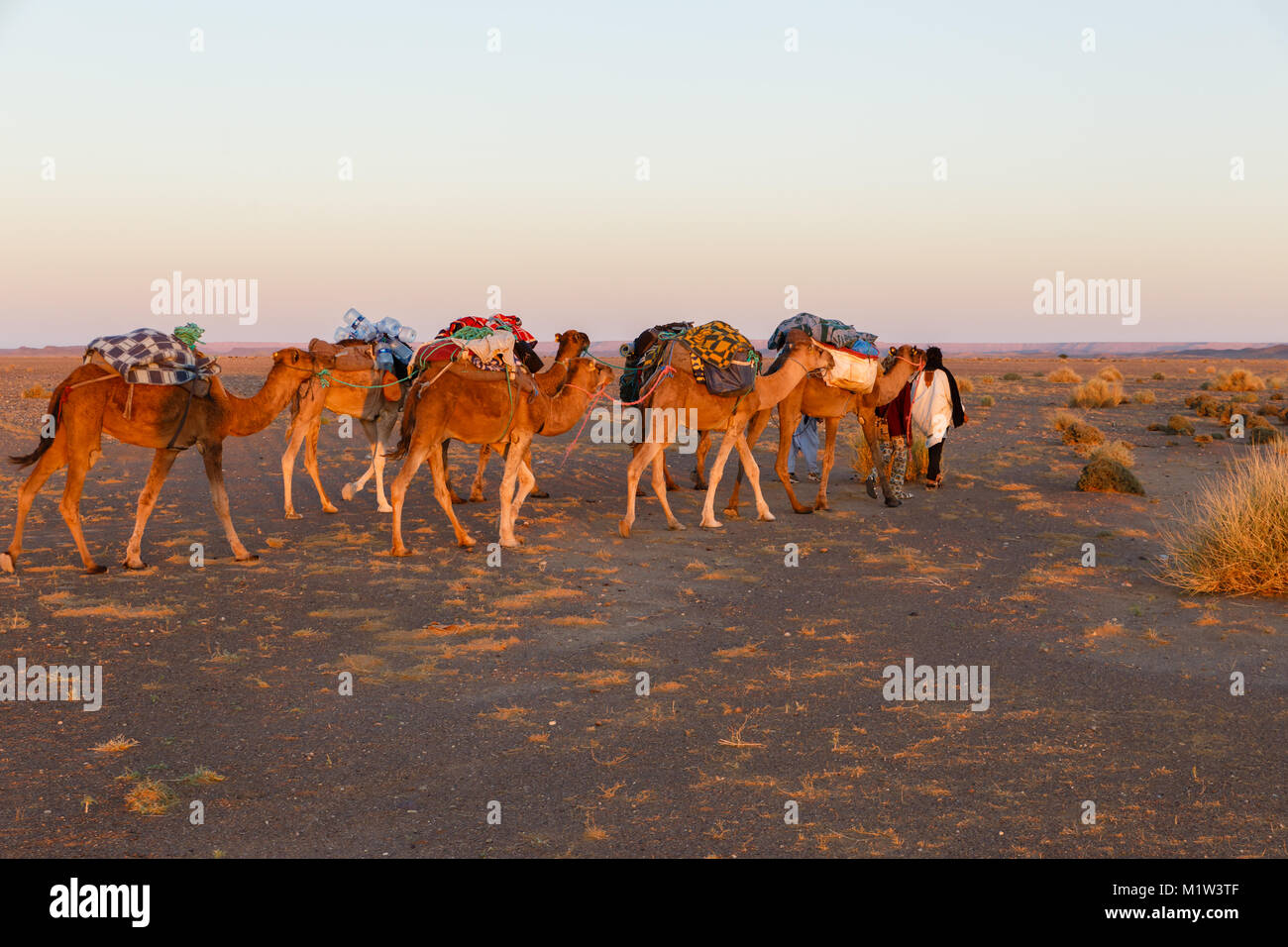 Camel caravan hi-res stock photography and images - Alamy