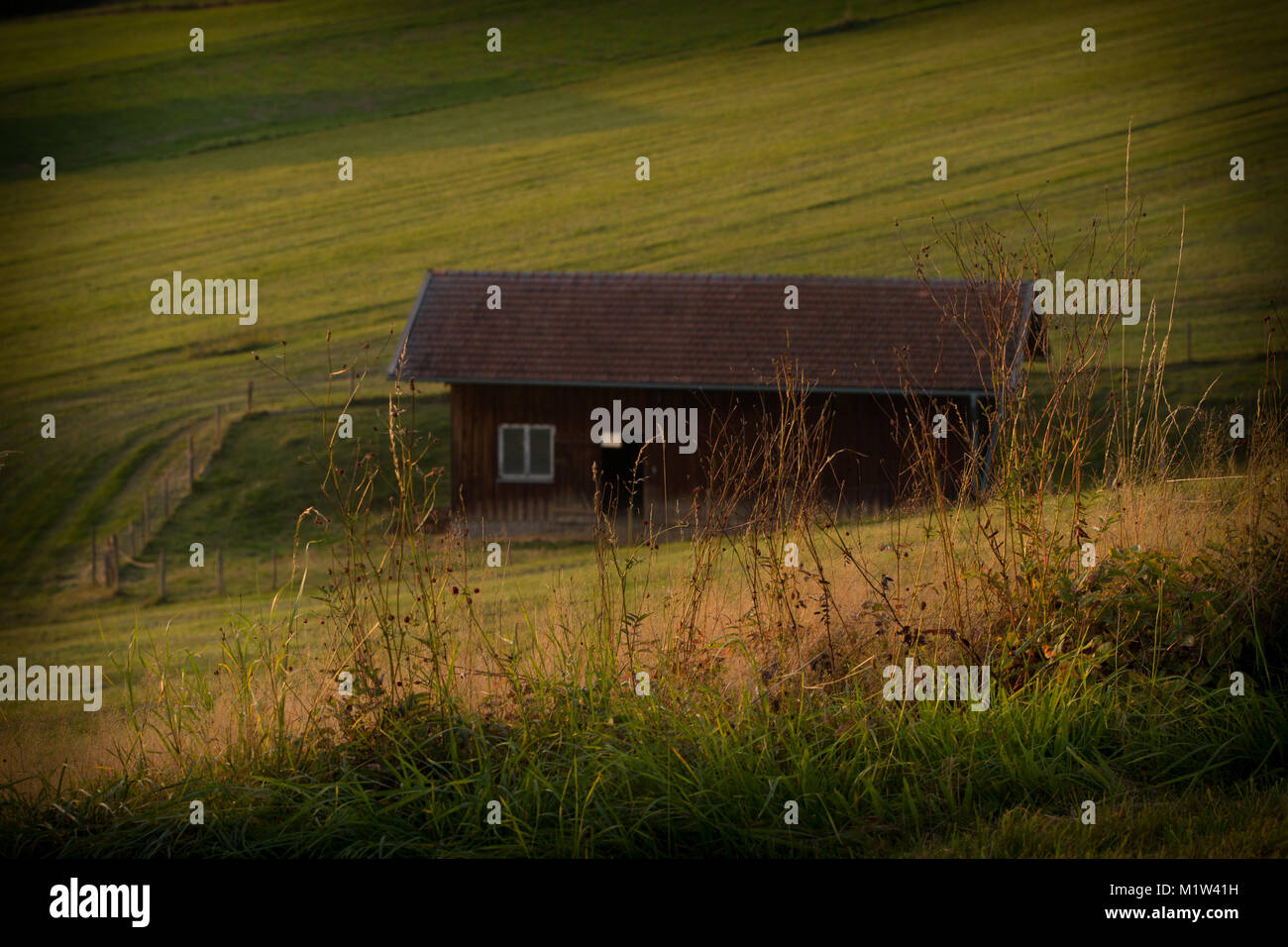 barn in evening Stock Photo - Alamy