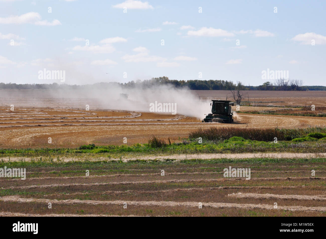 Harvesting north of Churchbridge, Saskatchewan, Canada, September 21st ...