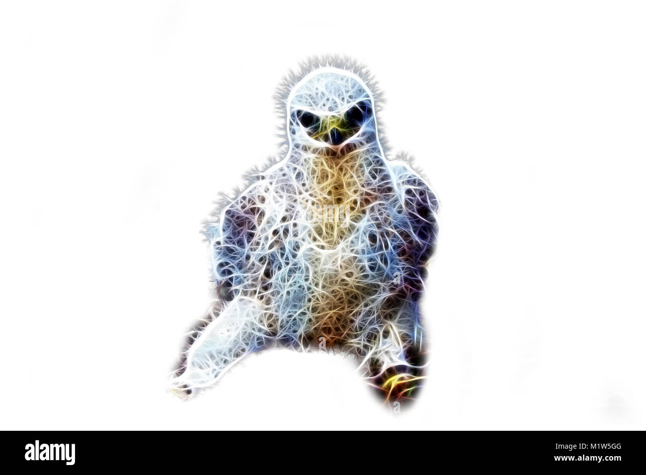 Menacing look hi-res stock photography and images - Alamy