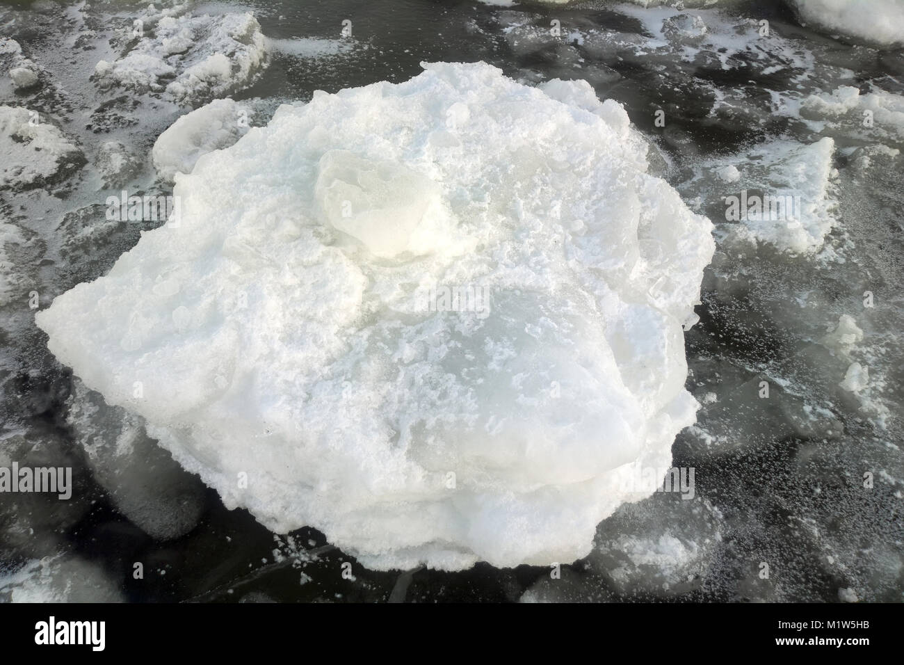 Pancake ice on Gulf of Finland of Baltic sea. beautiful varied pattern ...