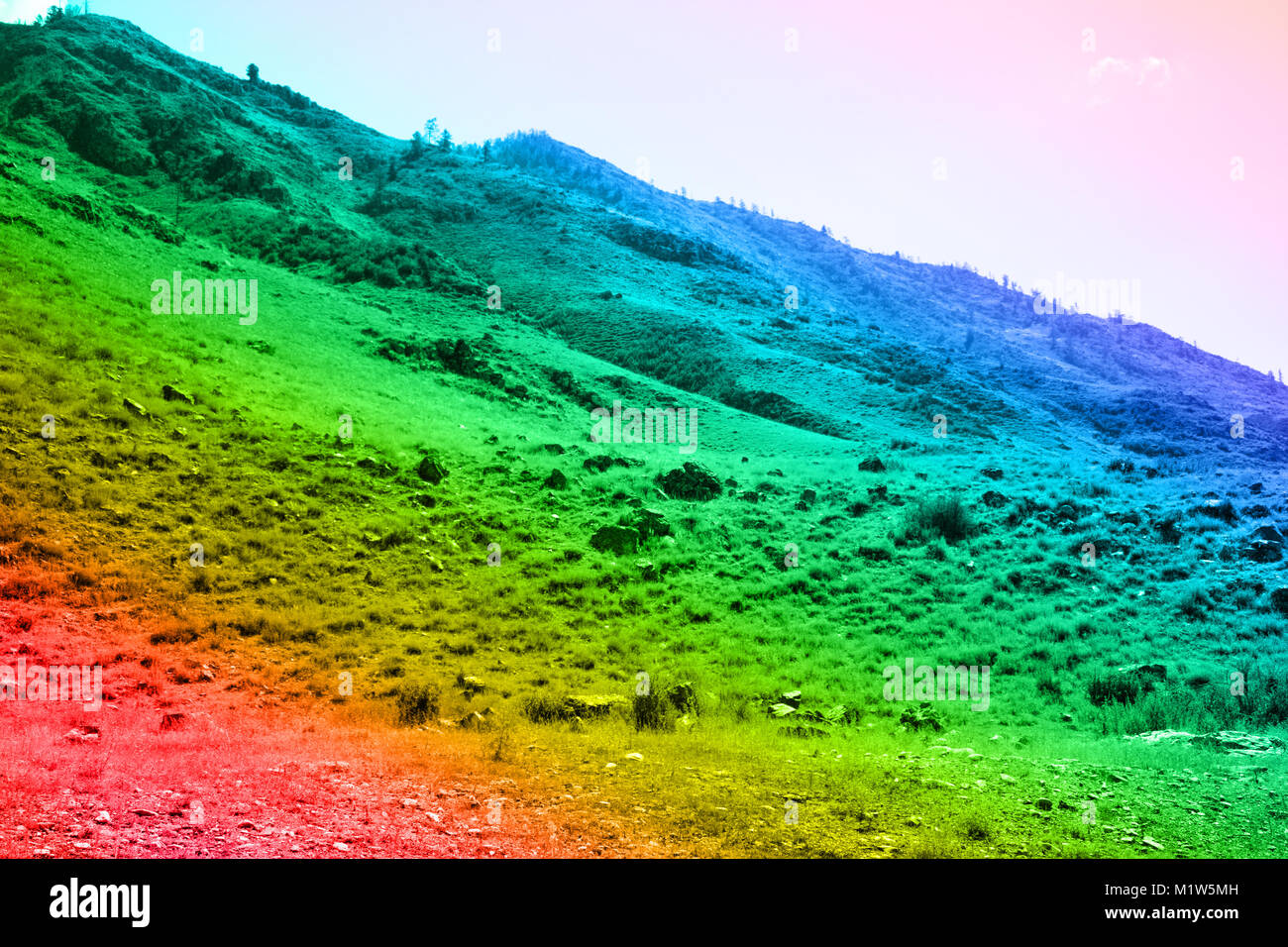 Blue and Sunny Earth. Alpine meadows in highlands Stock Photo - Alamy