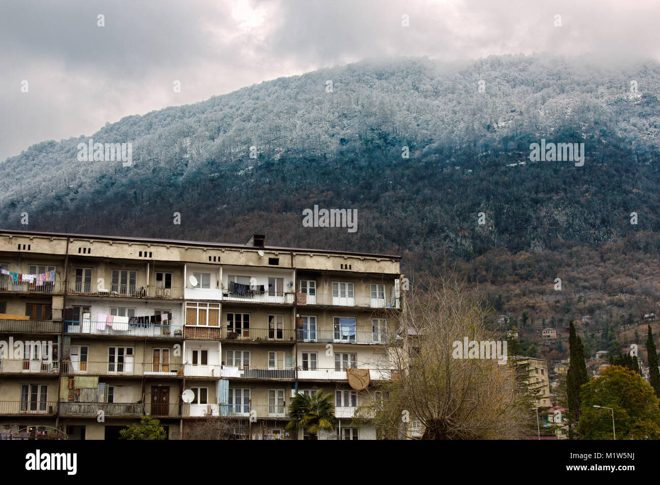 Soviet-built multi-storey prefabricated house amid forest-covered ...