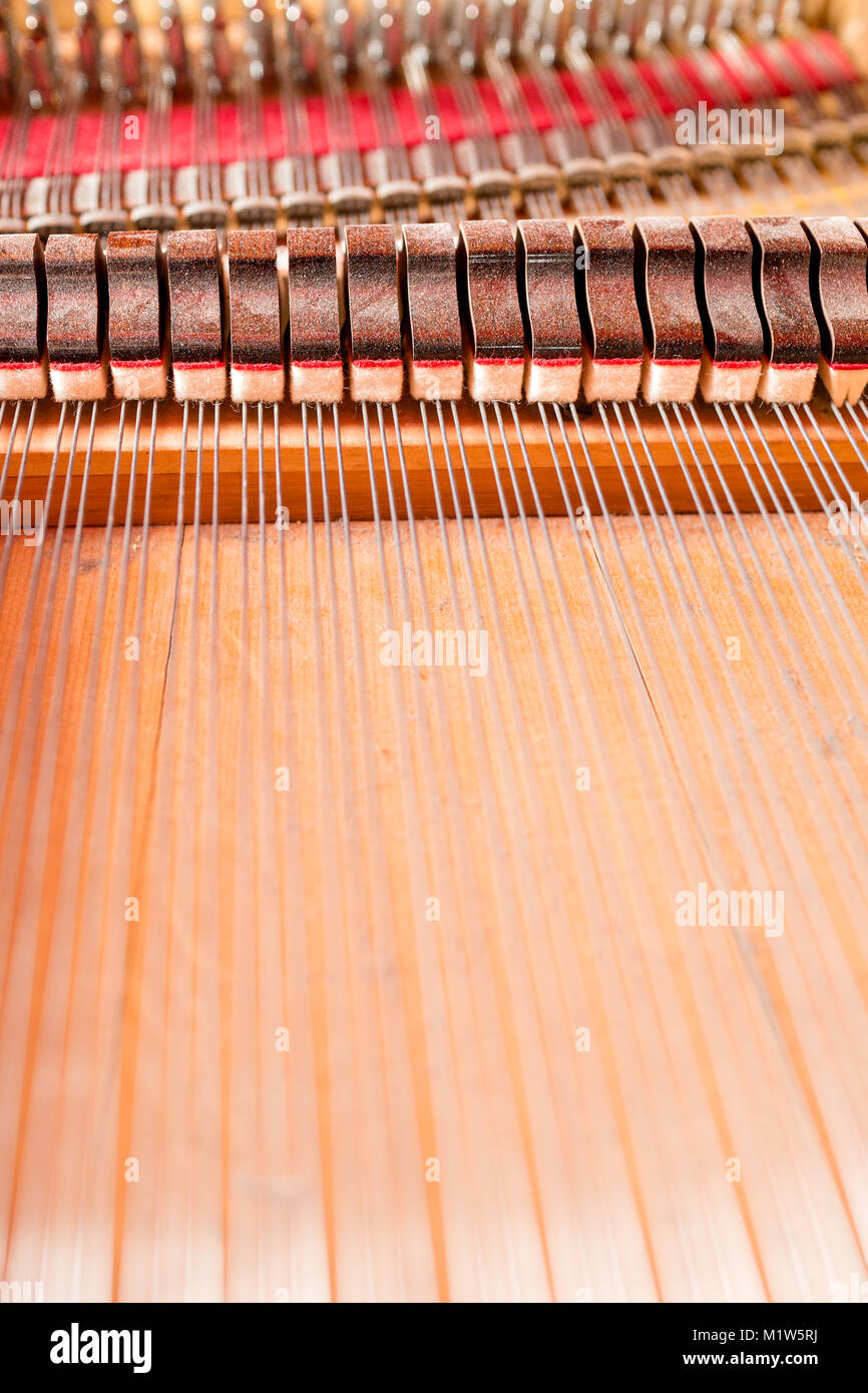 Strings, mallets, dampeners and sound board inside grand piano Stock ...