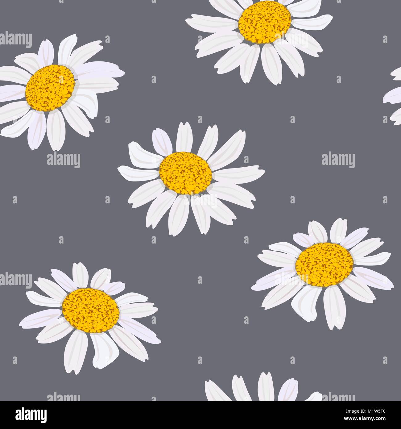 Herbal tea daisy Stock Vector Images - Alamy