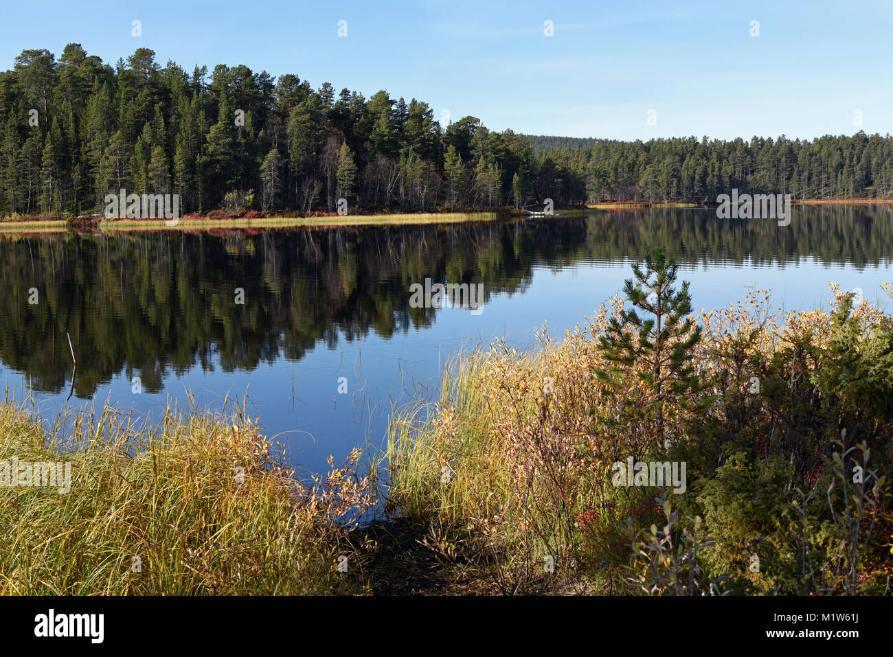 Lemmenjoki sami hi-res stock photography and images - Alamy
