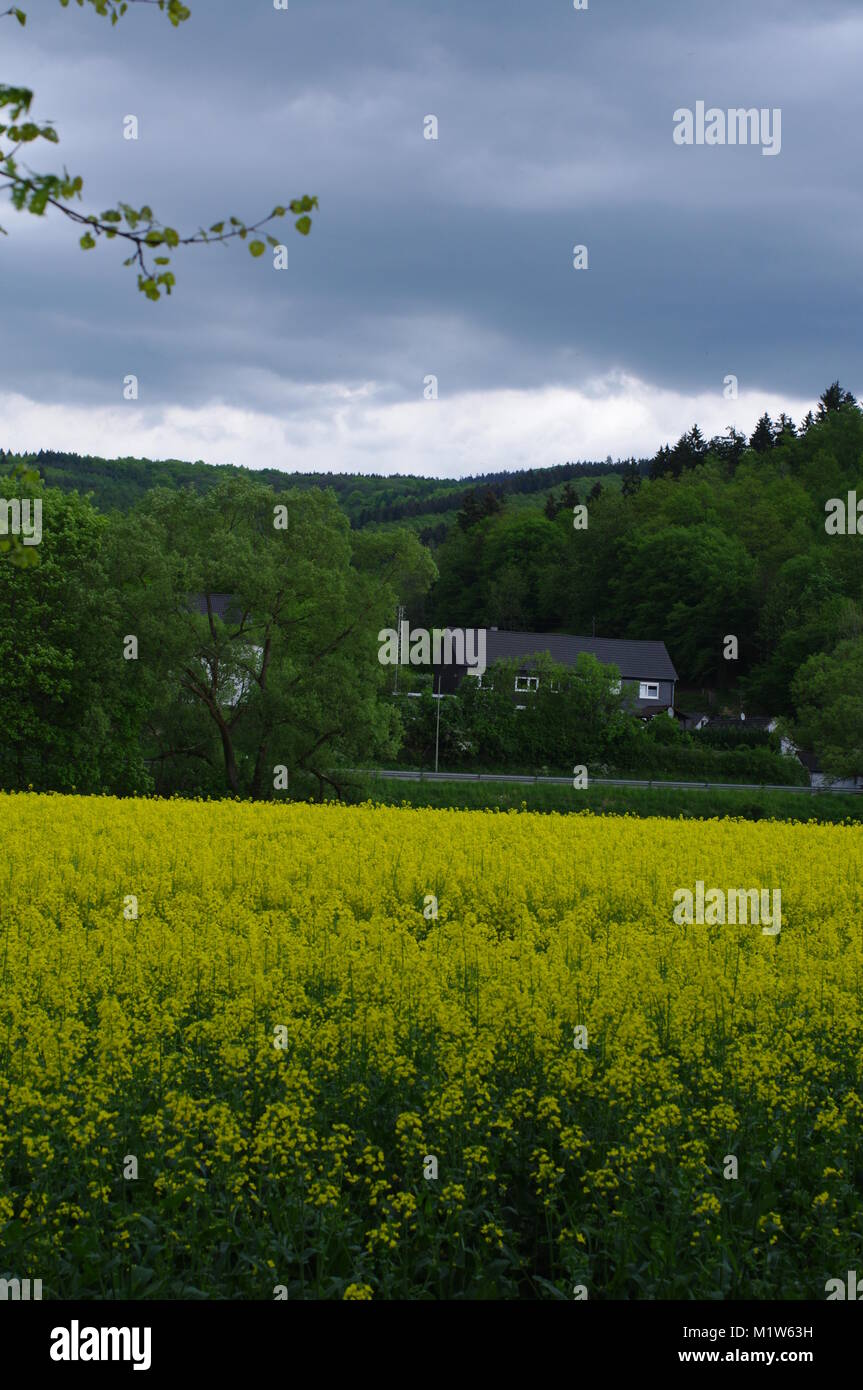 German Agriculture Landscape Stock Photo - Alamy