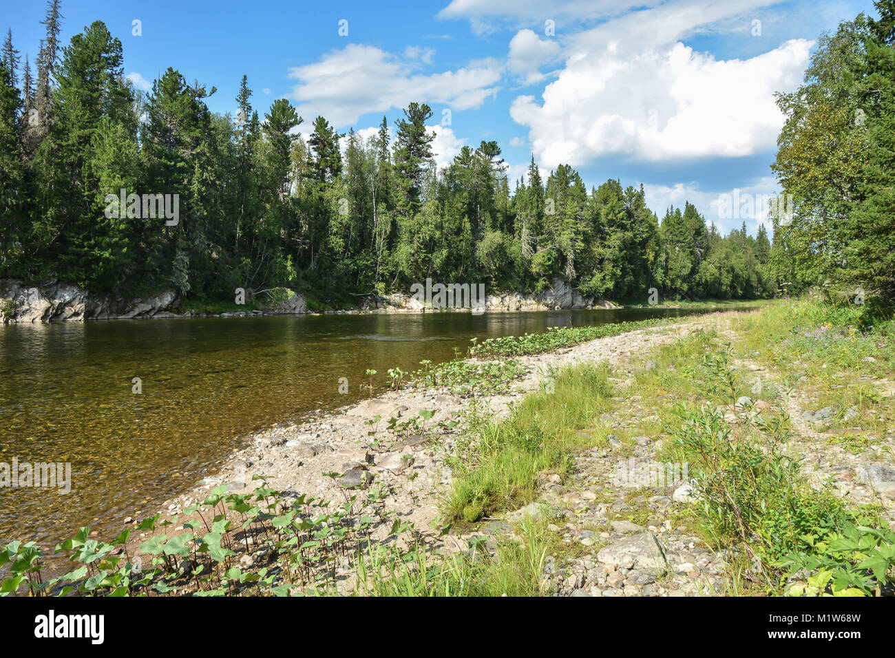 "Virgin Komi Forests" is a UNESCO World Heritage Site. The Shchugor ...