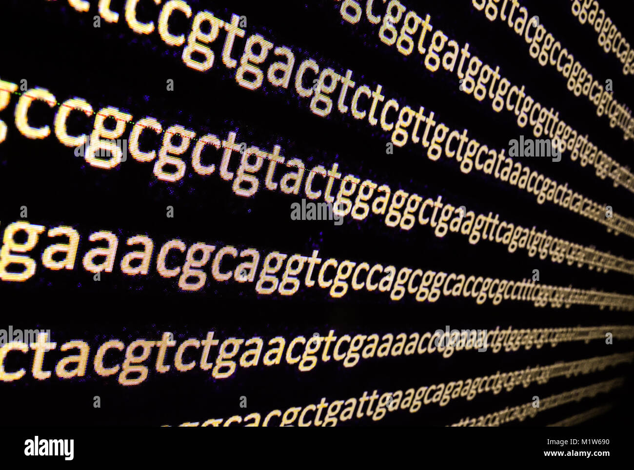 Sequencing the genome. Background on the subject of DNA sequencing ...