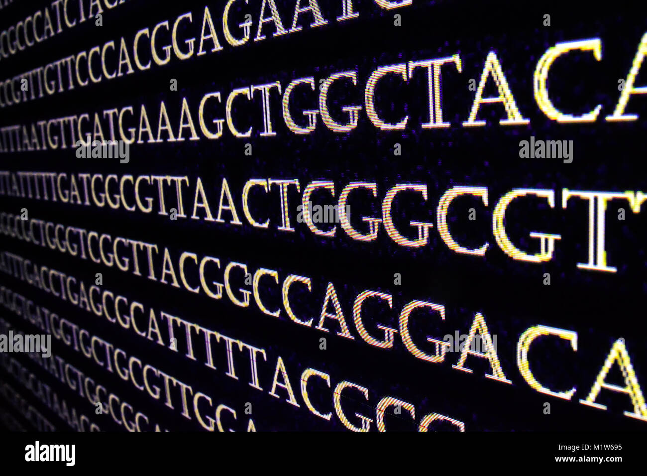 Sequencing the genome. Background on the subject of DNA sequencing ...