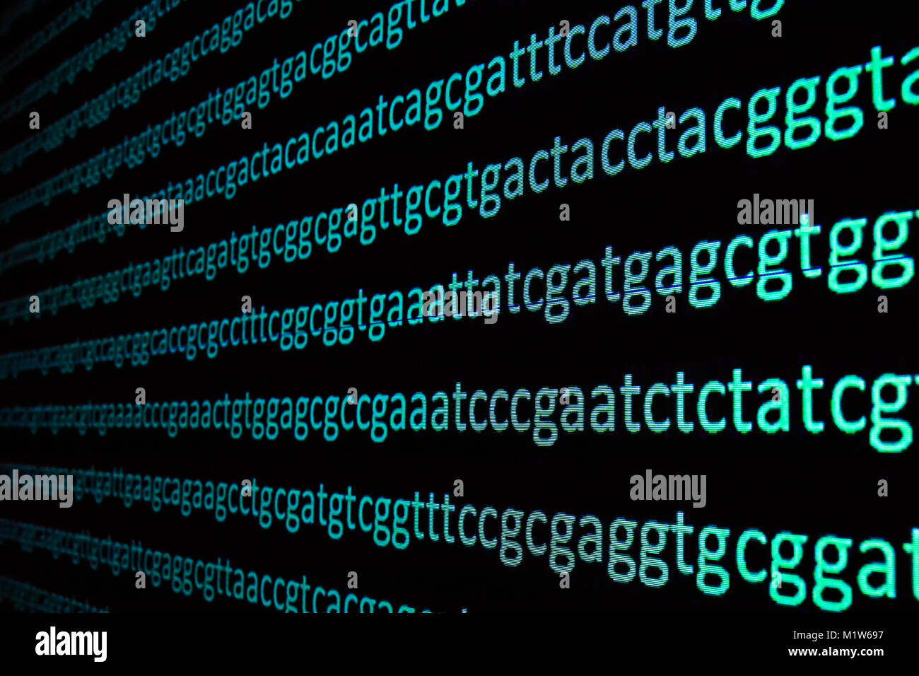 Sequencing the genome. Background on the subject of DNA sequencing ...
