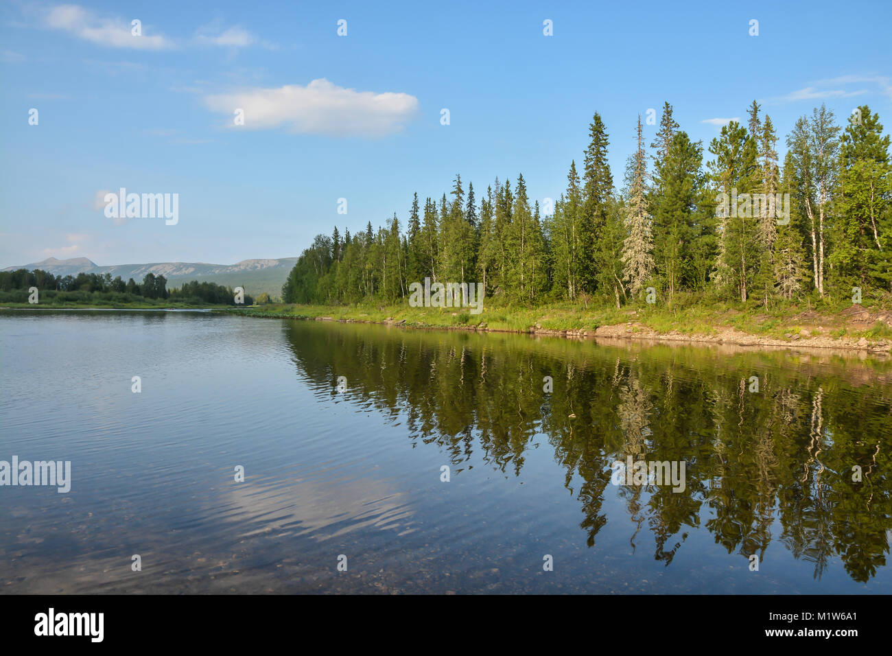 "Virgin Komi Forests" is a UNESCO World Heritage Site. The Shchugor ...
