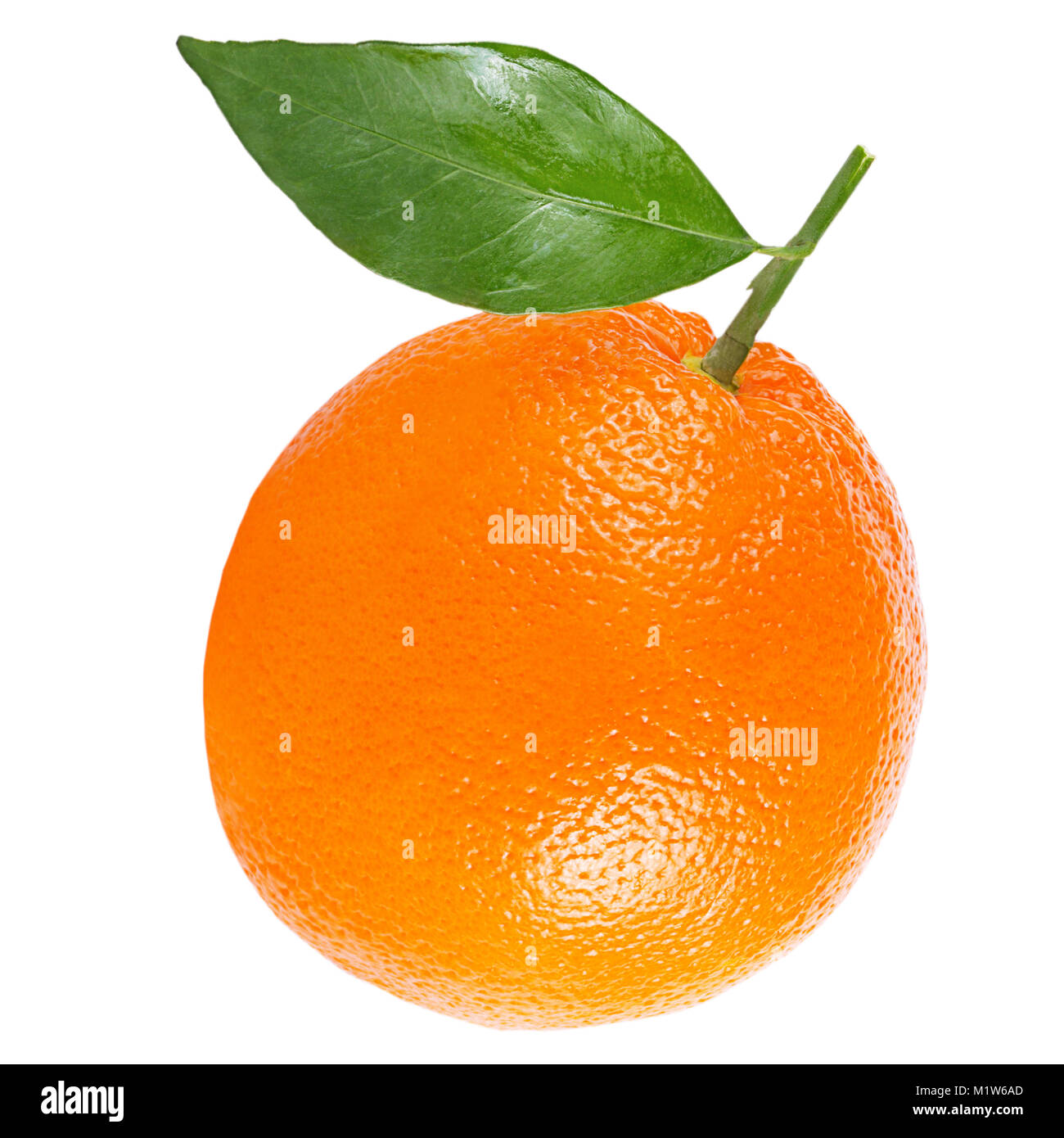 Isolated citrius fruits. One whole orange with leaf isolated on white ...