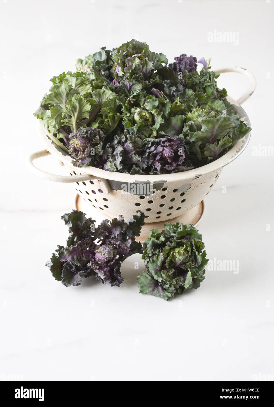 Kalettes in an old colander Stock Photo - Alamy