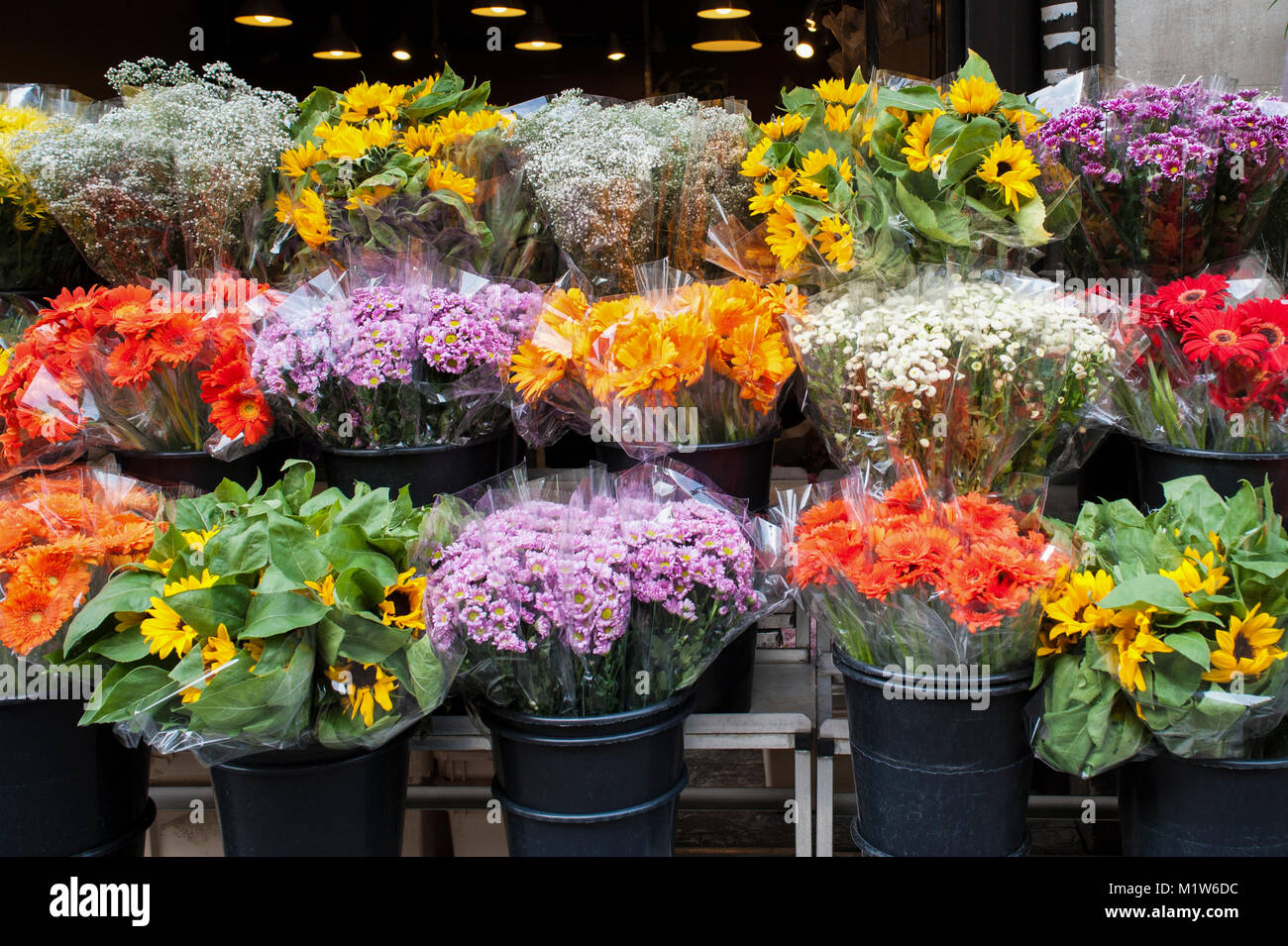French market stall flower plant hi-res stock photography and images ...