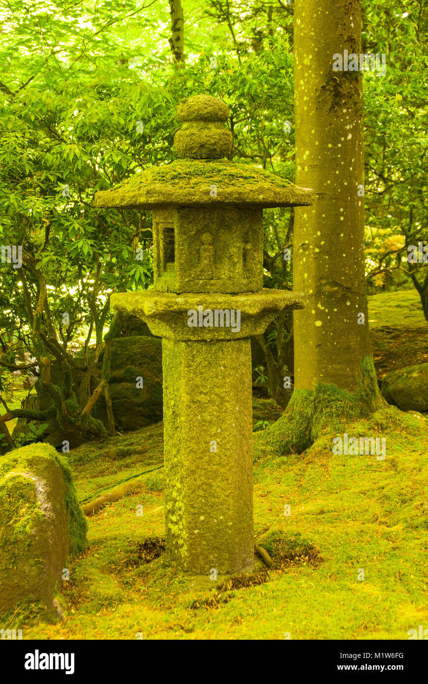 Lush japanese countryside hi-res stock photography and images - Alamy