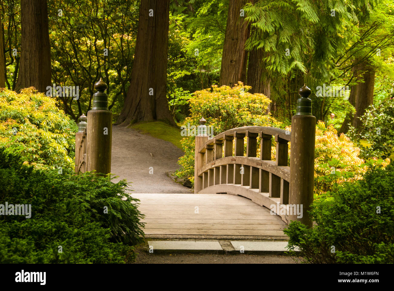 Wooden bridge over a pond in a Japanese garden Stock Photo - Alamy