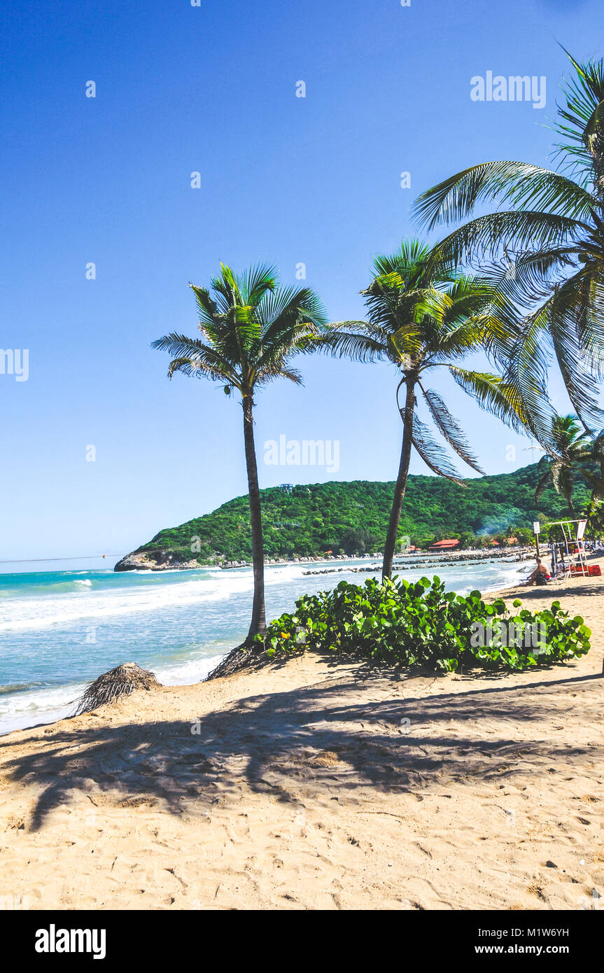 Beach and tropical resort, Labadee island, Haiti Stock Photo - Alamy
