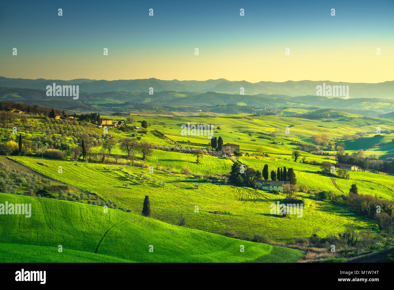 Volterra panorama, rolling hills, trees, and green fields at sunset ...