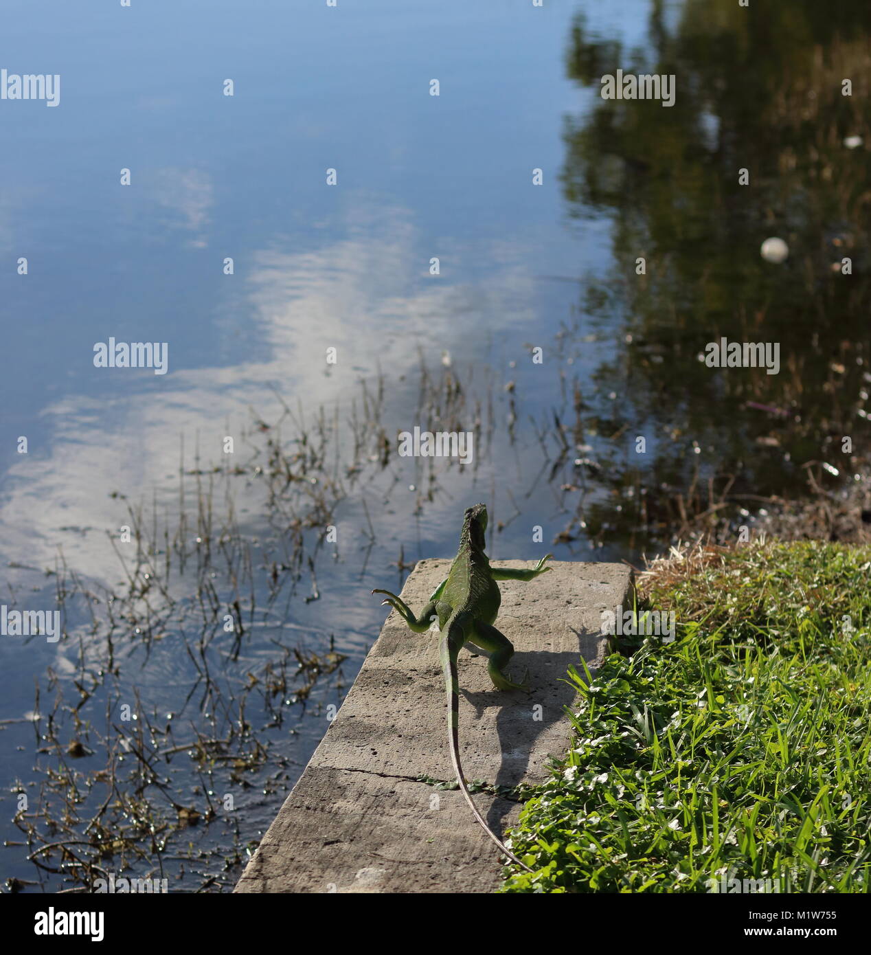 Walking around a lake hi-res stock photography and images - Alamy
