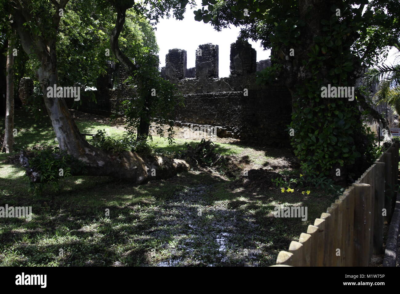 When Simonsz Gooyer, the first Dutch Governor of Mauritius, and his men ...