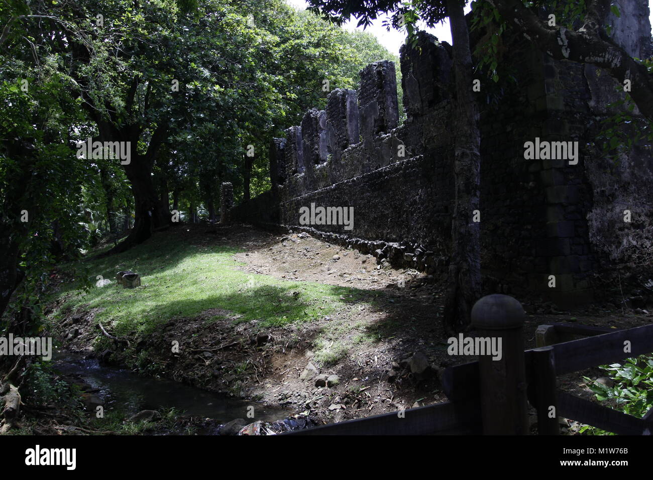 When Simonsz Gooyer, the first Dutch Governor of Mauritius, and his men ...