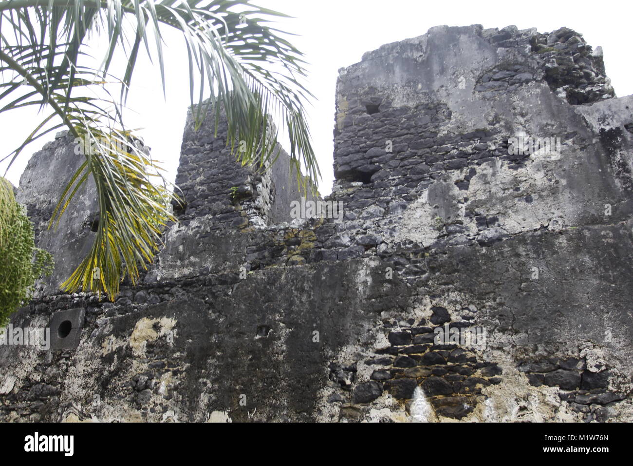 When Simonsz Gooyer, the first Dutch Governor of Mauritius, and his men ...