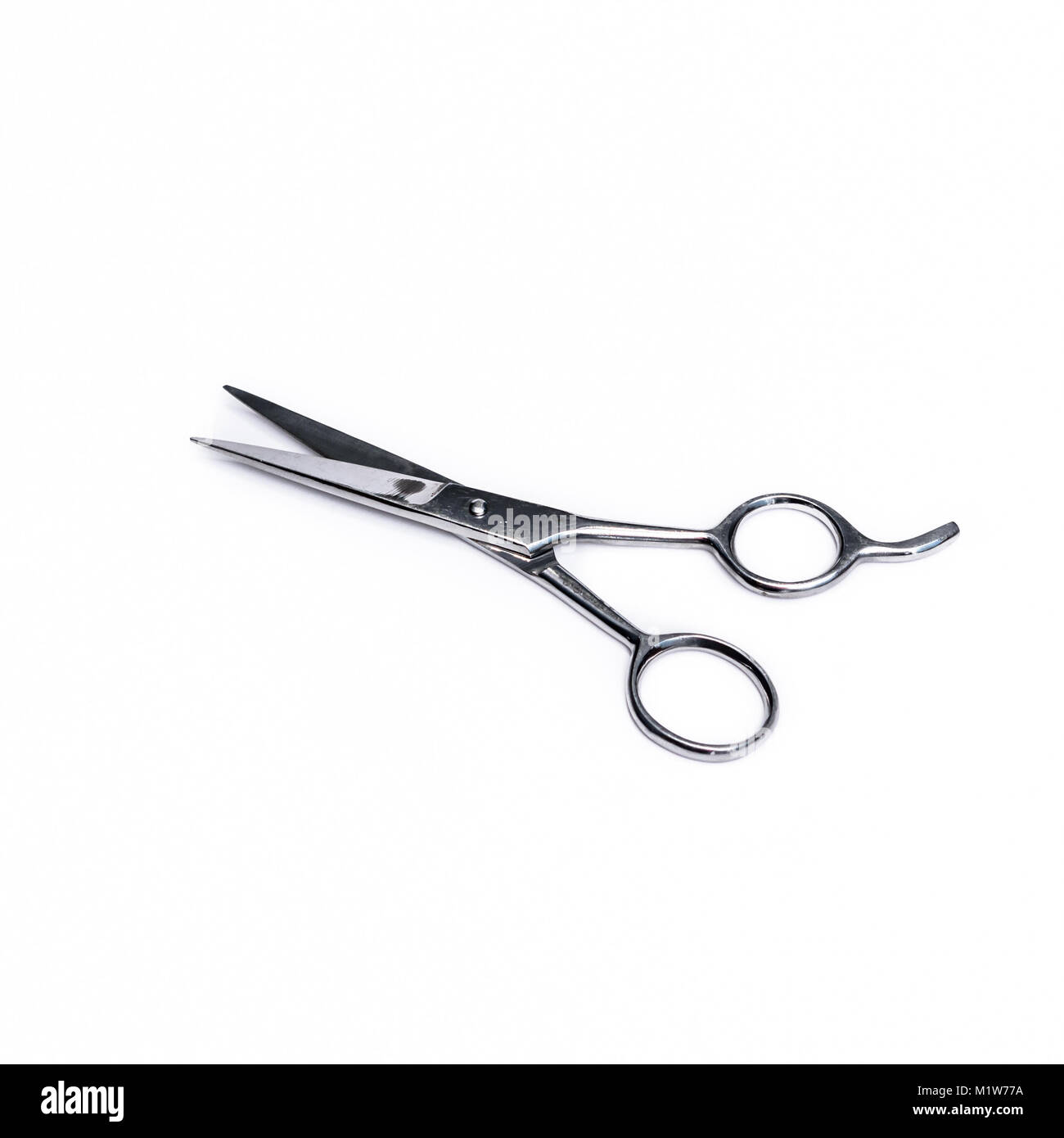 Grooming scissors hi-res stock photography and images - Alamy