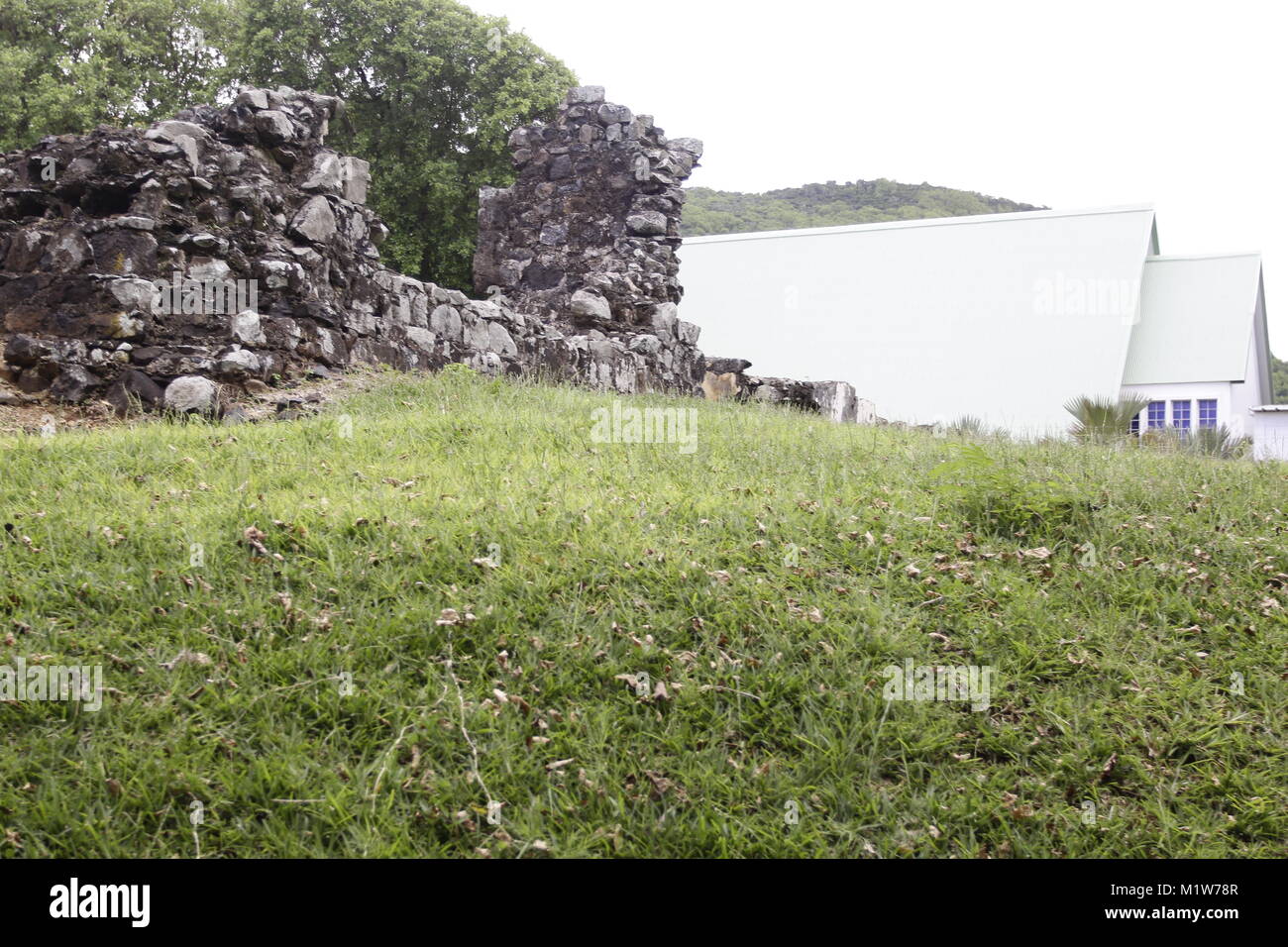 When Simonsz Gooyer, the first Dutch Governor of Mauritius, and his men ...