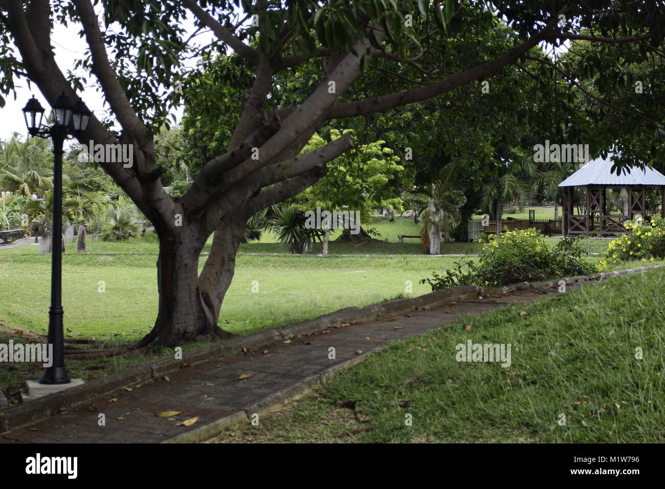 When Simonsz Gooyer, the first Dutch Governor of Mauritius, and his men ...