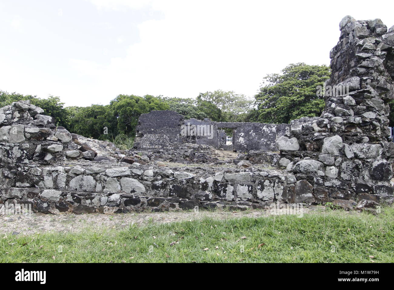 When Simonsz Gooyer, the first Dutch Governor of Mauritius, and his men ...