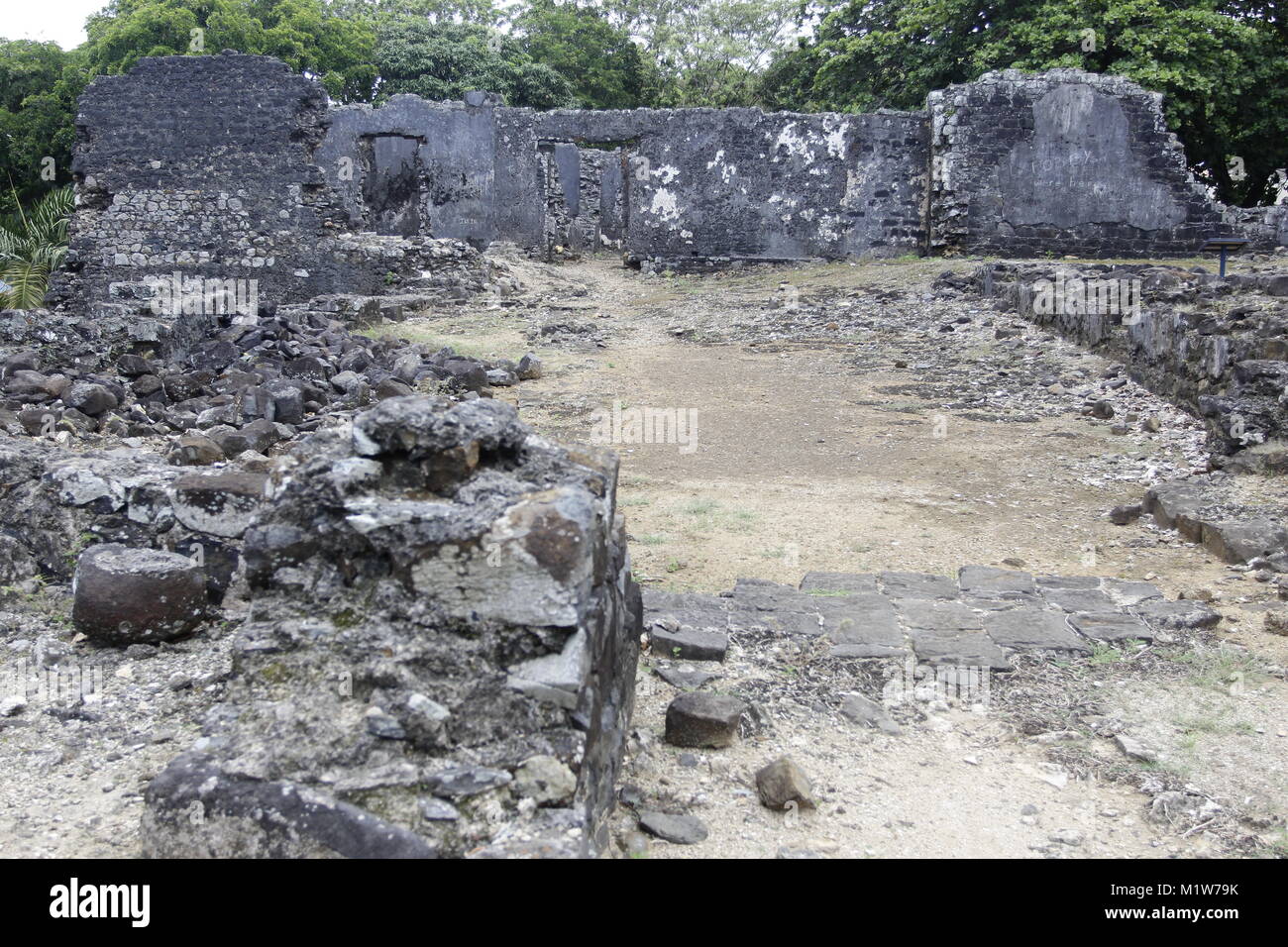 When Simonsz Gooyer, the first Dutch Governor of Mauritius, and his men ...