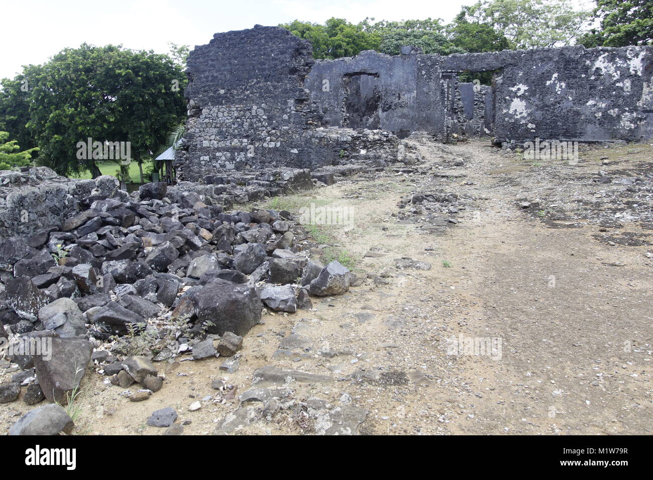 When Simonsz Gooyer, the first Dutch Governor of Mauritius, and his men ...