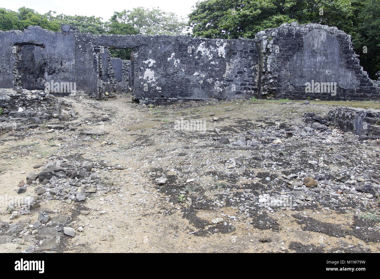 When Simonsz Gooyer, the first Dutch Governor of Mauritius, and his men ...