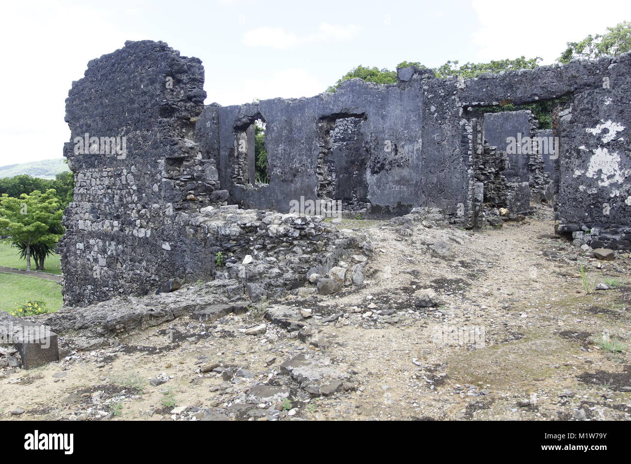 When Simonsz Gooyer, the first Dutch Governor of Mauritius, and his men ...