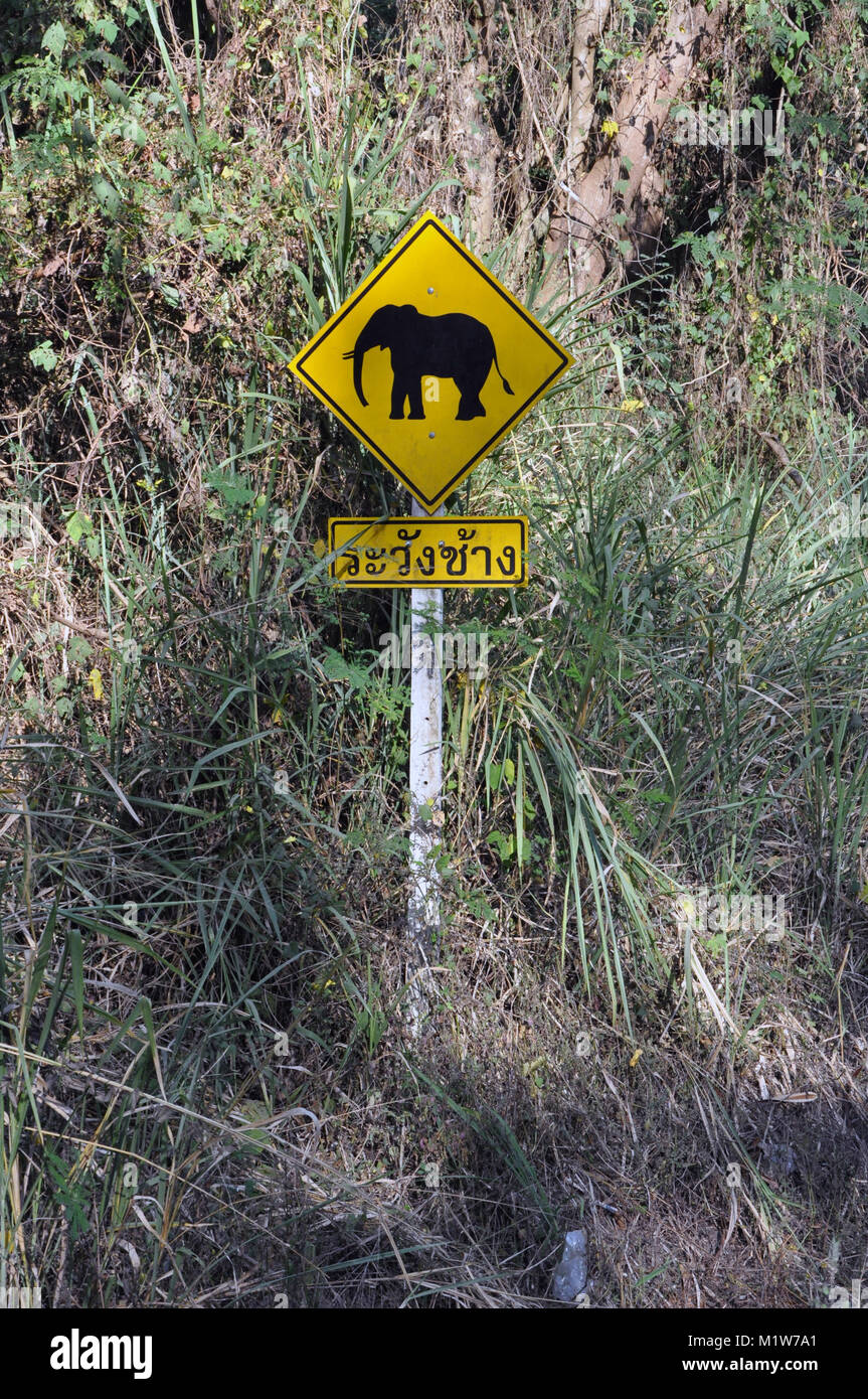 Elephant road sign hi-res stock photography and images - Alamy