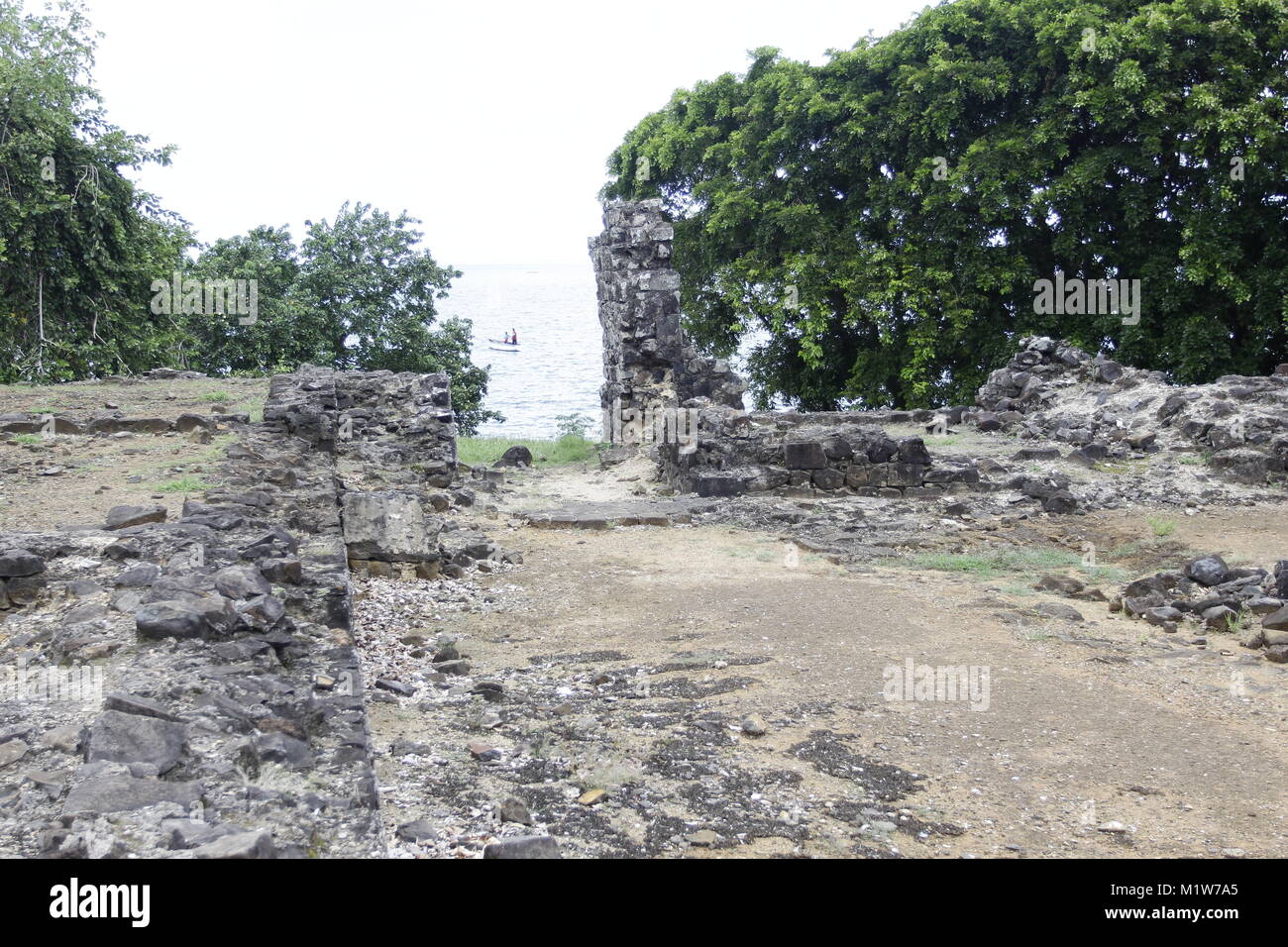 When Simonsz Gooyer, the first Dutch Governor of Mauritius, and his men ...