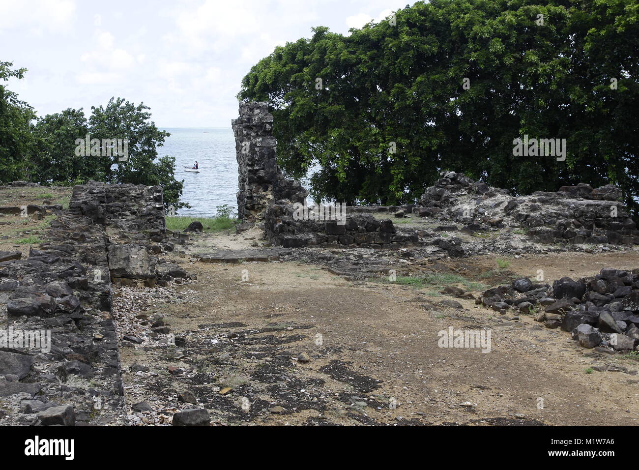 When Simonsz Gooyer, the first Dutch Governor of Mauritius, and his men ...
