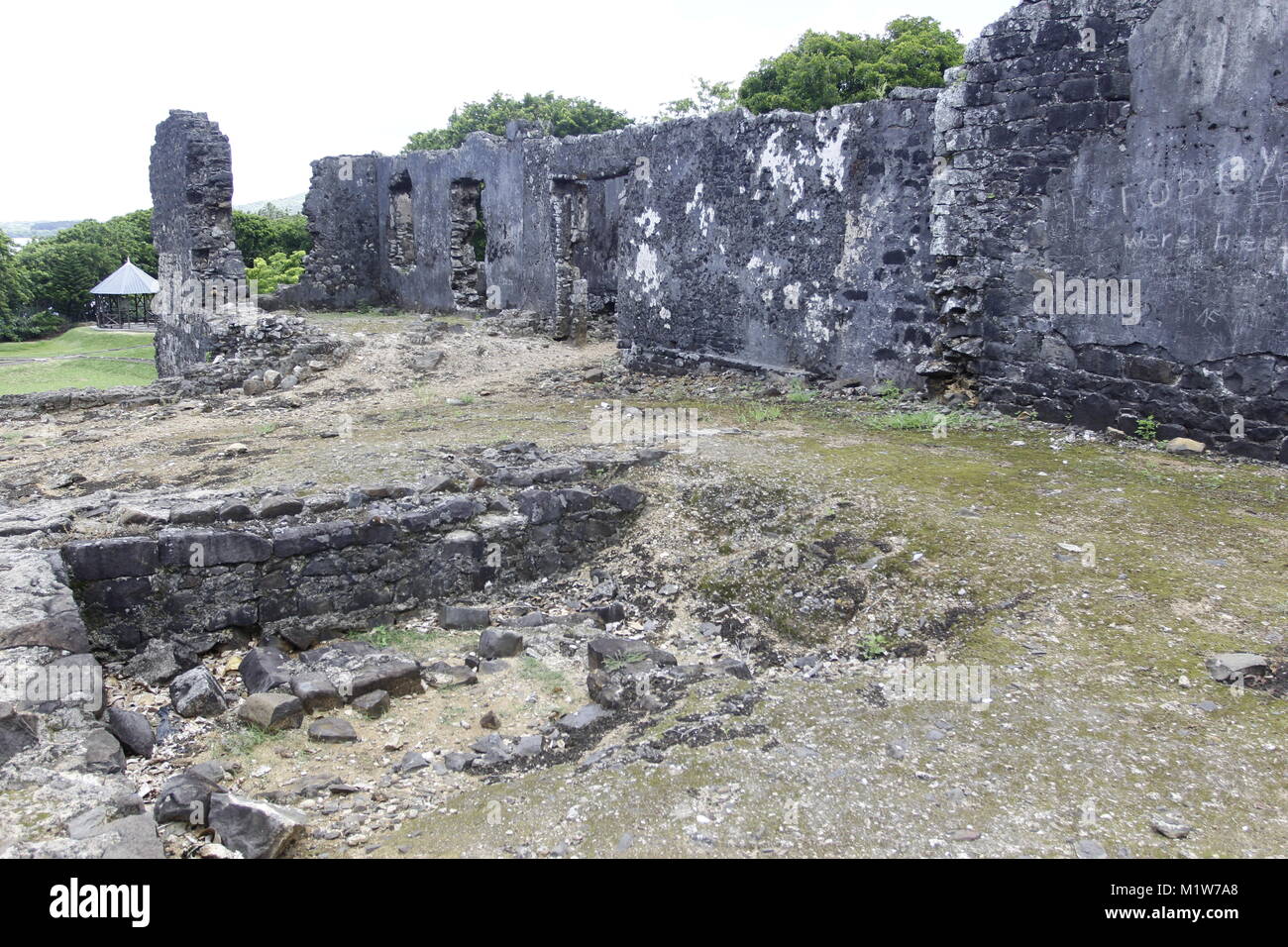 When Simonsz Gooyer, the first Dutch Governor of Mauritius, and his men ...