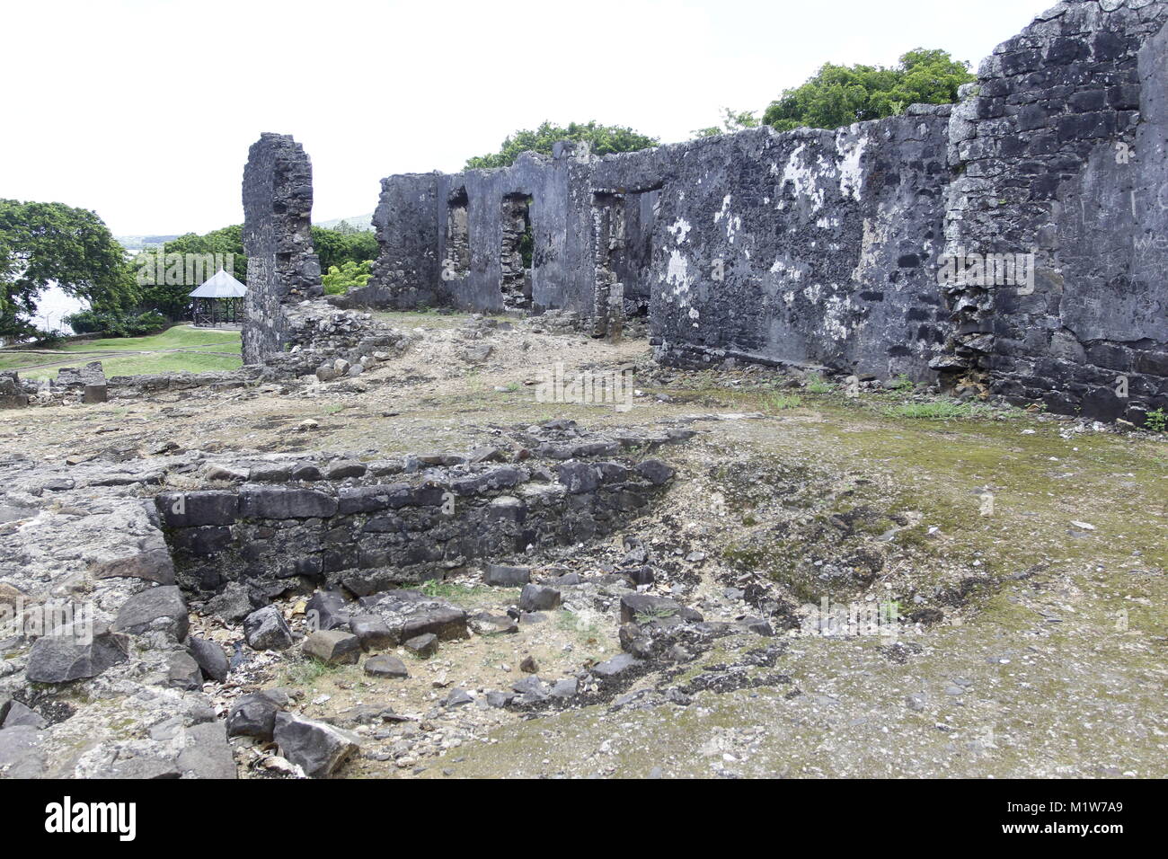 When Simonsz Gooyer, the first Dutch Governor of Mauritius, and his men ...