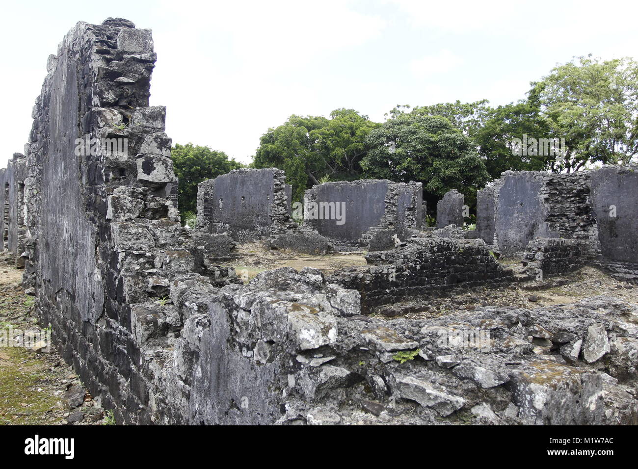 When Simonsz Gooyer, the first Dutch Governor of Mauritius, and his men ...