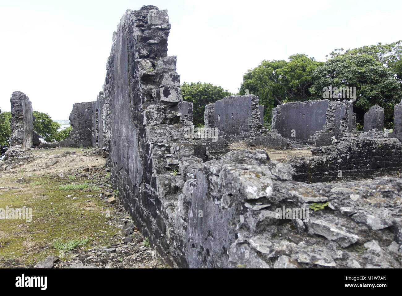 When Simonsz Gooyer, the first Dutch Governor of Mauritius, and his men ...