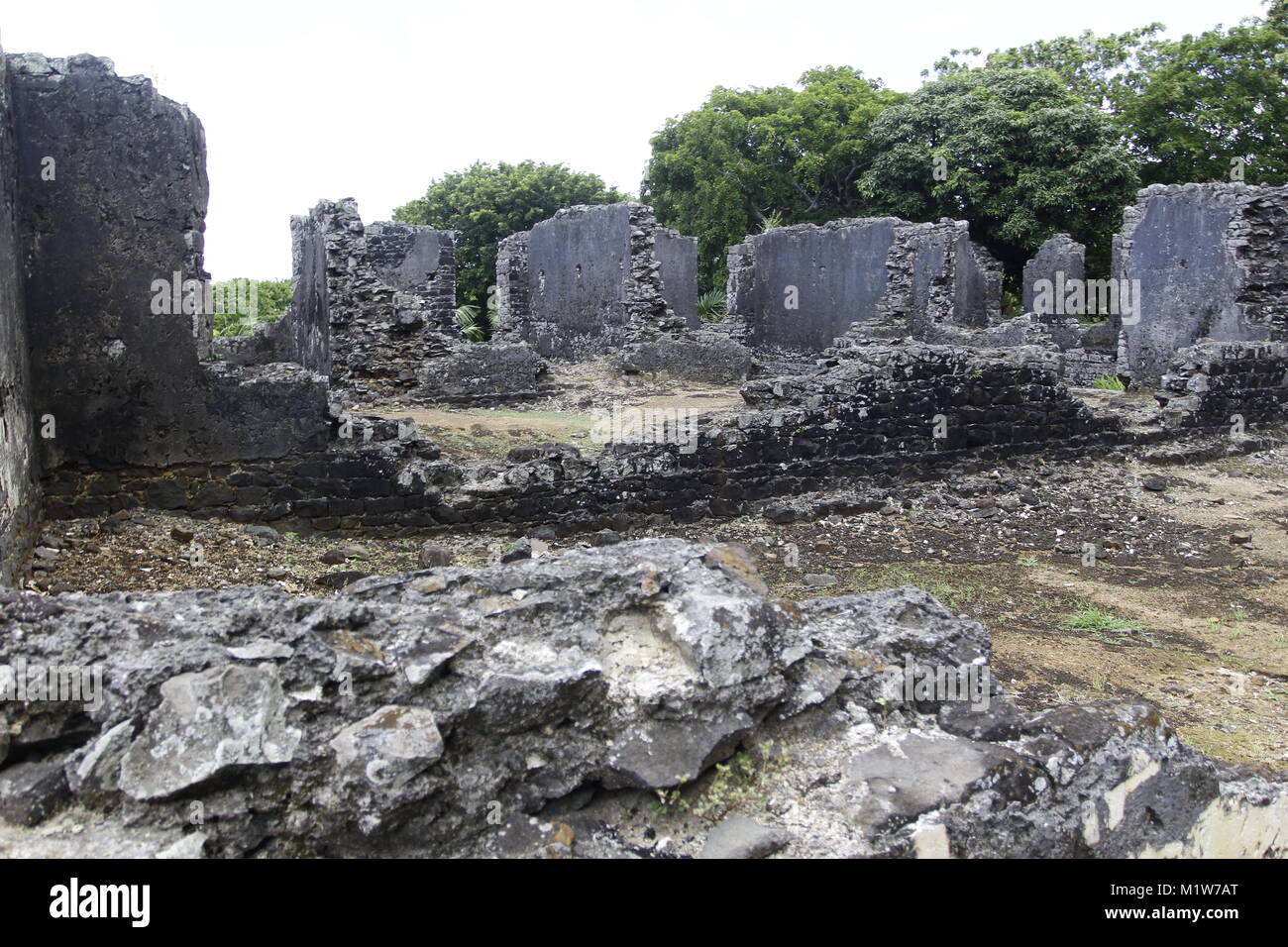When Simonsz Gooyer, the first Dutch Governor of Mauritius, and his men ...